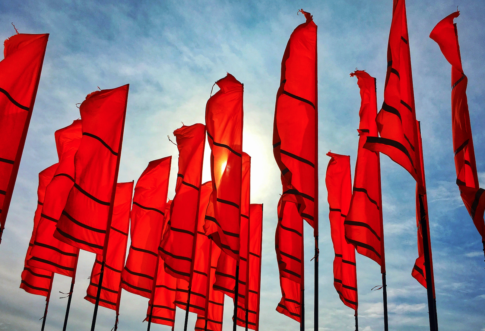 The 5 Red Flags That Expose Fake Disruptors | Advisorpedia