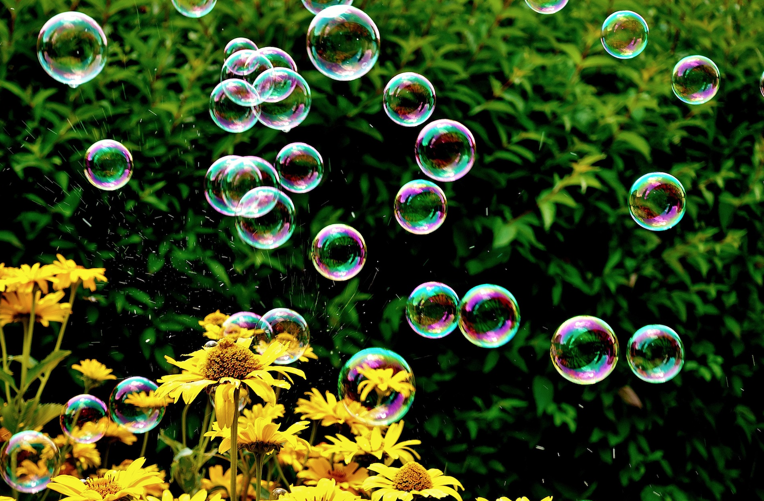 How Cultivating Your Future Like a Garden Leads to Exponential Growth ...